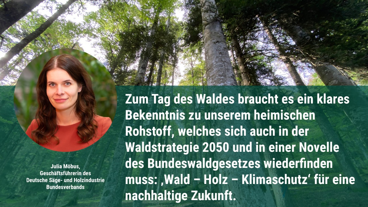 Wald – Holz – Klimaschutz | DeSH